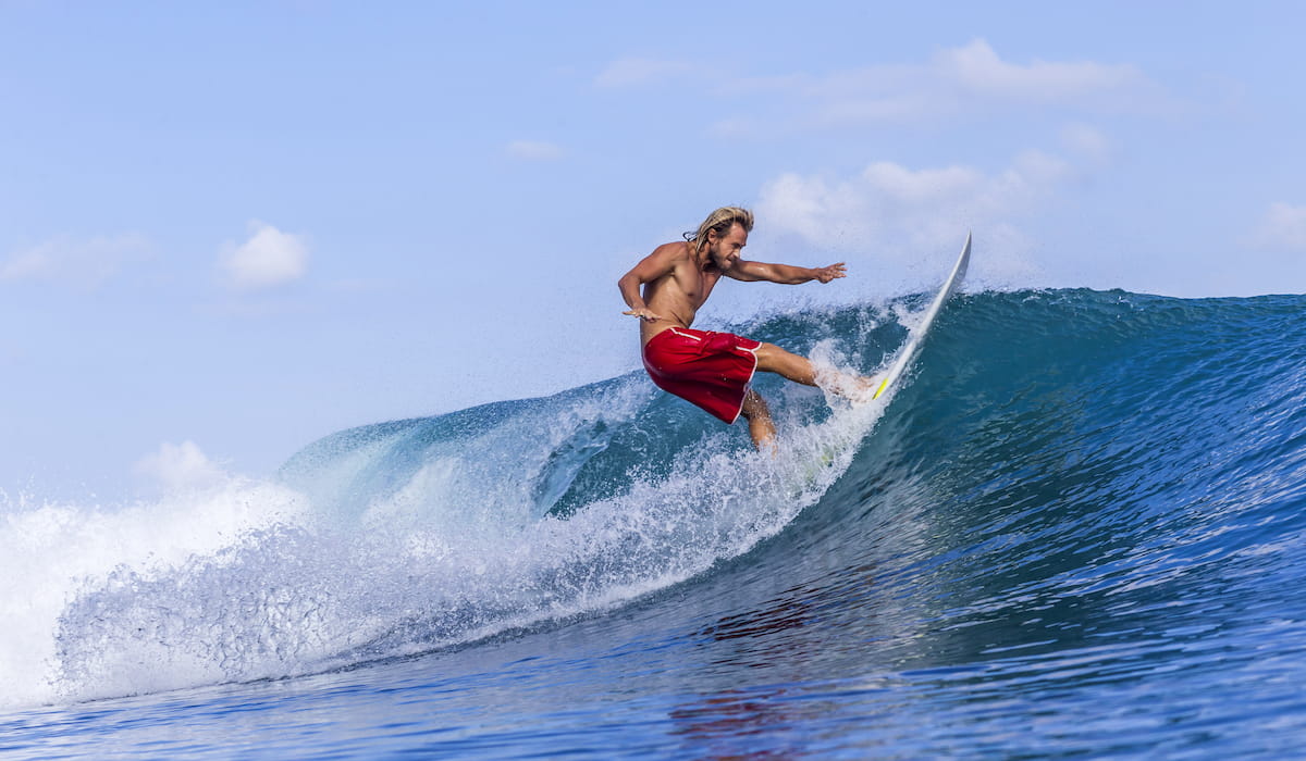 220+ Creative Surf Shop Names - Paddle Zen