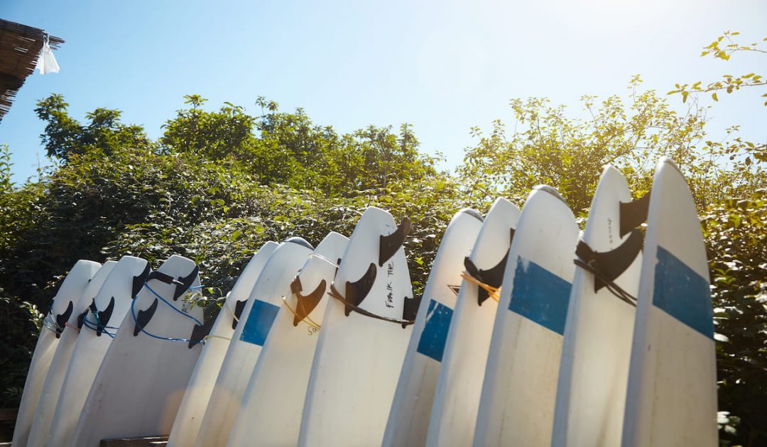 What's the Difference Between 1 Fin and 3 Fins on a Surfboard? - Paddle Zen